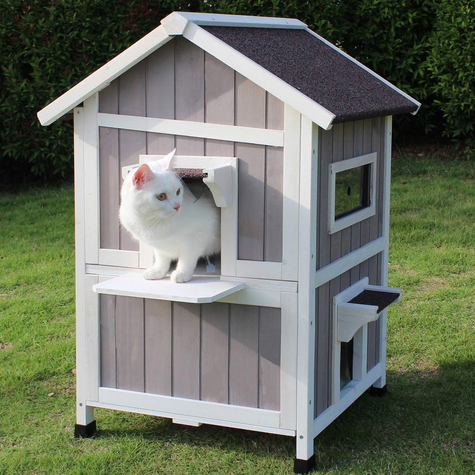 How to Build an Outdoor Cat House: Expert Tips and Tricks - Great Shine ...